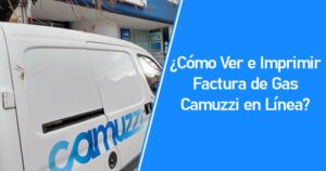 ¿Cómo Ver e Imprimir Factura de Gas Camuzzi en Línea? - Argentina ...